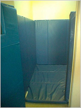 The Padded Room – Follow your “GUT” part 1. – Alternative Teaching ...